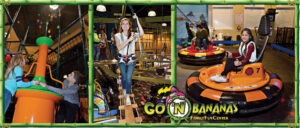 Go 'N Bananas Family Fun Center - Indoor Playground for Kids ...