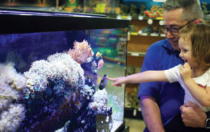 That Fish Place - That Pet Place (The Largest Pet Store You’ve Ever ...