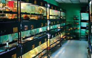 That Fish Place - That Pet Place (The Largest Pet Store You’ve Ever ...