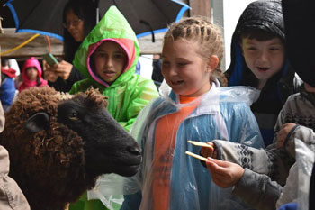 Shear Madness at The Amish Farm and House - LancasterPA.com
